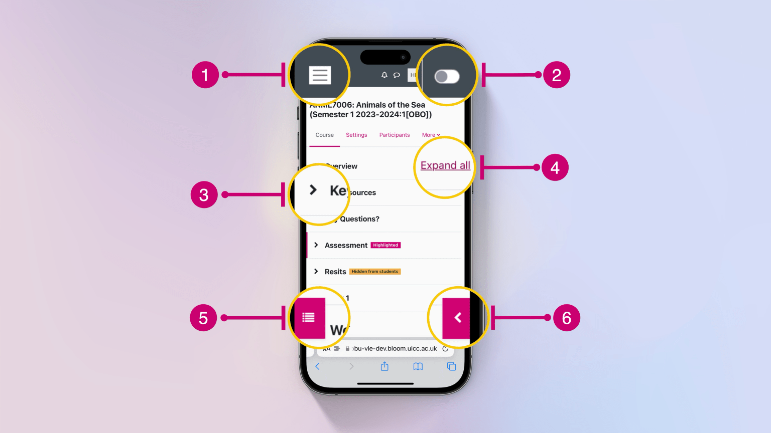 How do I access Moodle on my phone? – Digital Education Support at Brookes